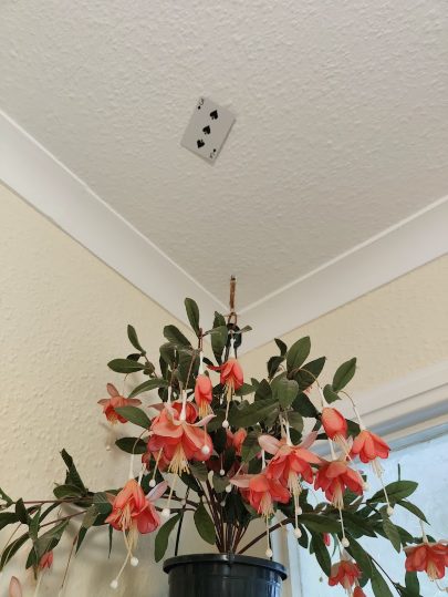 Card On Ceiling Street Magic Trick